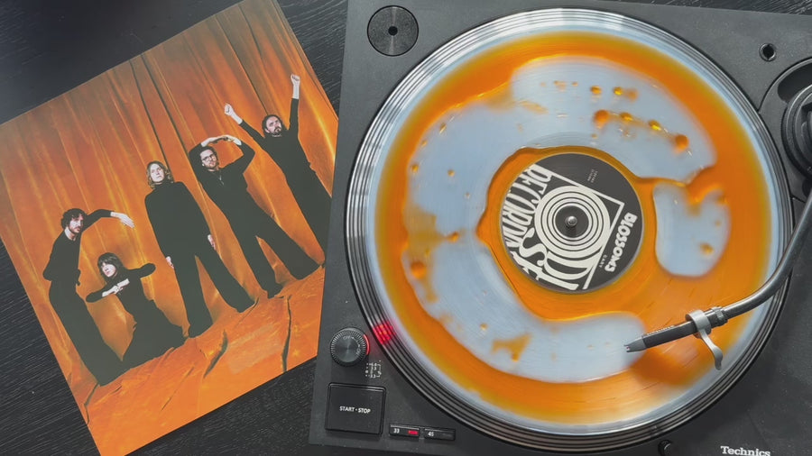 Blossoms – Bad World